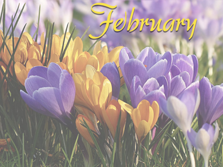 February in the Garden—A To Do List | Good News Tree Service, Inc.