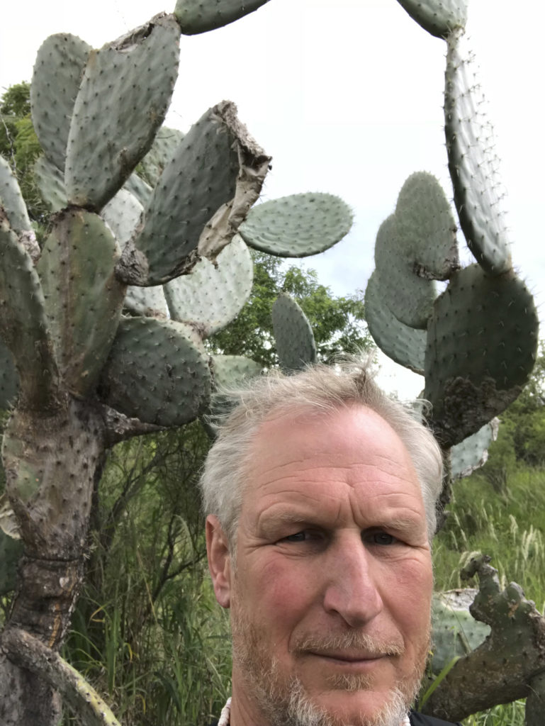 In Search of the World’s Largest Cactus in Cabo! | Good News Tree ...