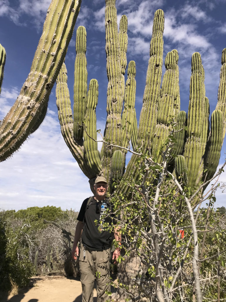 In Search of the World’s Largest Cactus in Cabo! | Good News Tree ...
