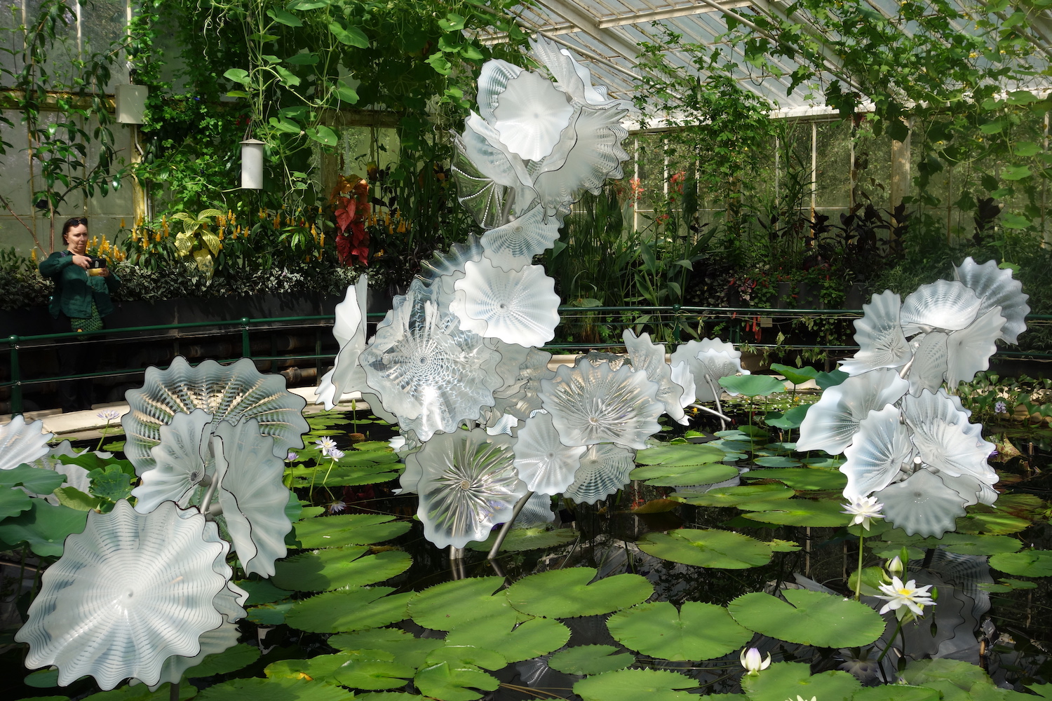The Glass Art of Dale Chihuly—Royal Botanic Gardens in Kew, England ...