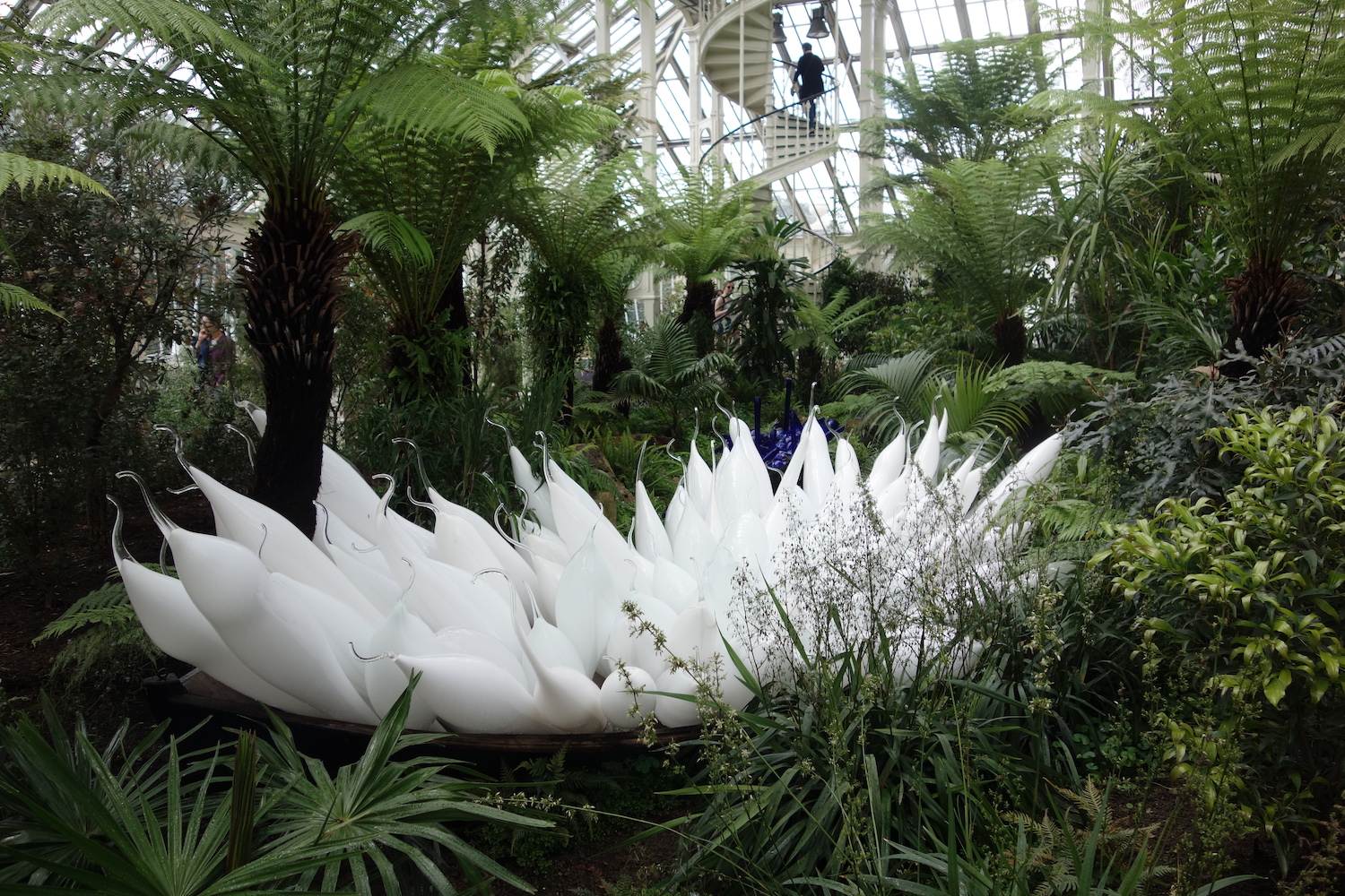 The Glass Art of Dale Chihuly—Royal Botanic Gardens in Kew, England ...