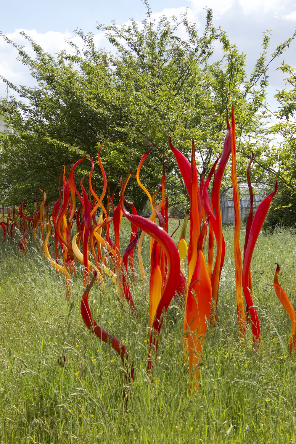 The Glass Art of Dale Chihuly—Royal Botanic Gardens in Kew, England ...