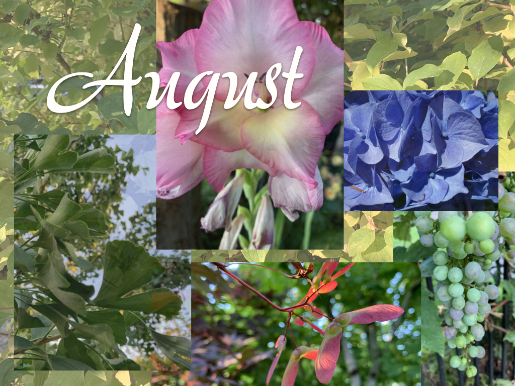 August in the Garden—A To Do List | Good News Tree Service, Inc.