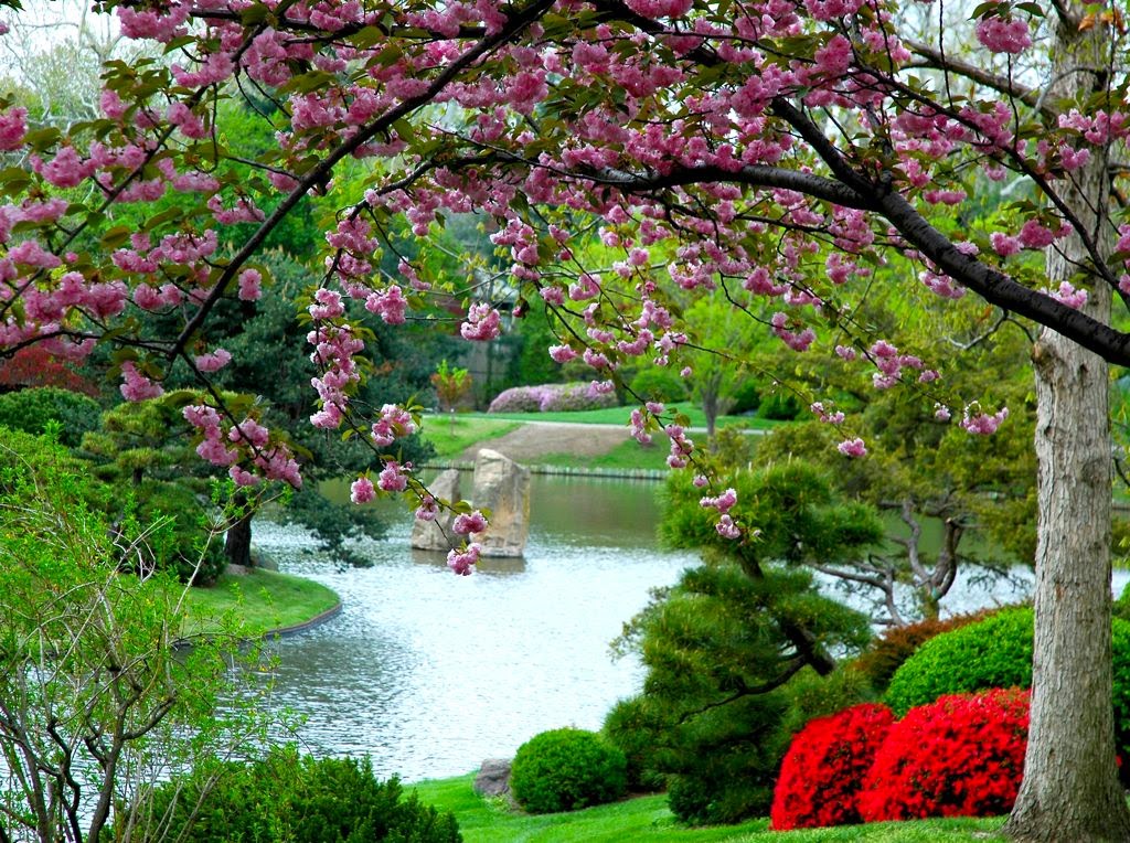 The Importance of Planting Right the Tree in the Right Place | Good ...