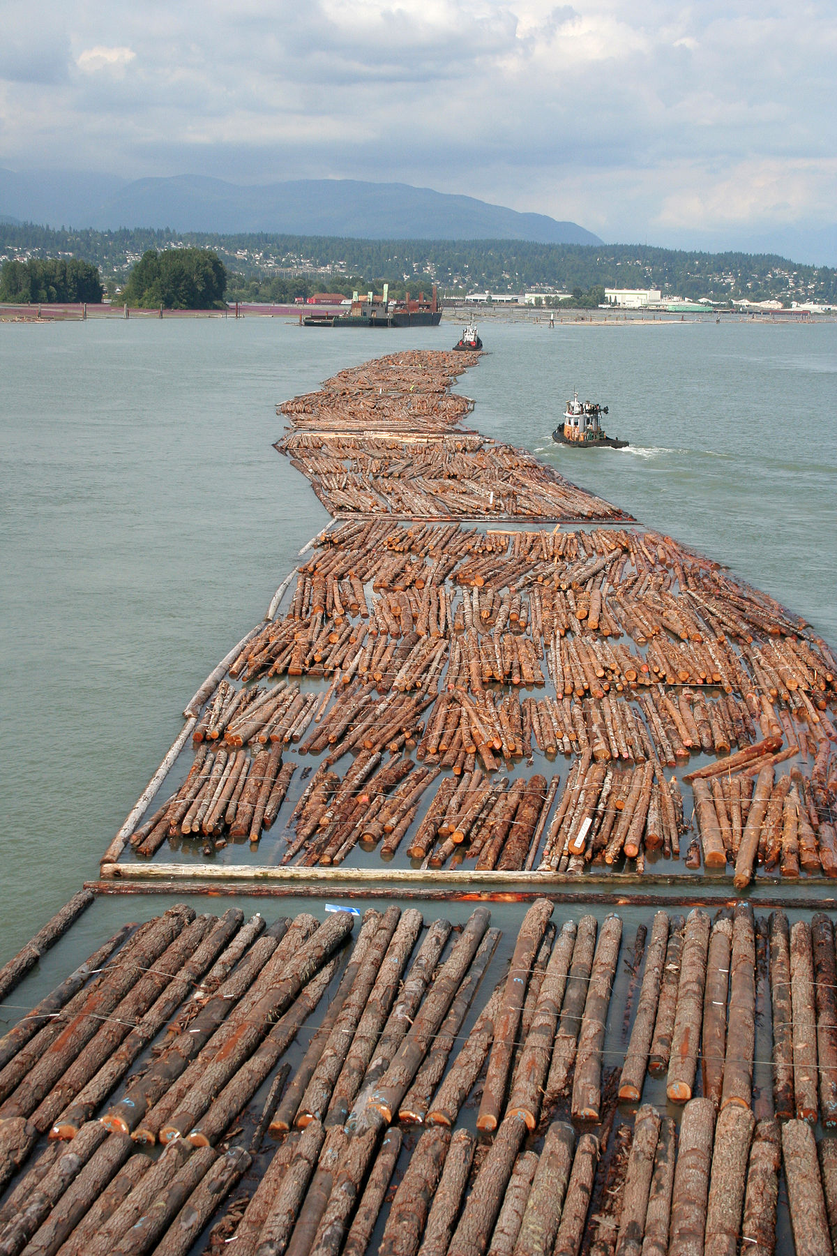 Wilsonville’s Willamette River Historic Log Raft Cable Trees | Good ...