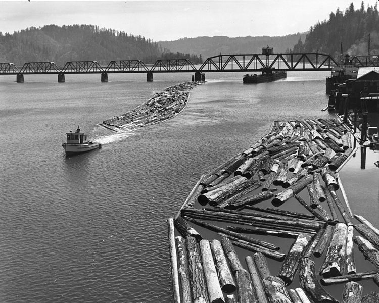 Wilsonville’s Willamette River Historic Log Raft Cable Trees | Good ...
