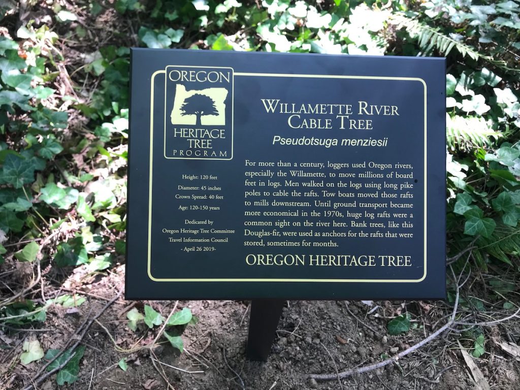 Wilsonville’s Willamette River Historic Log Raft Cable Trees | Good ...