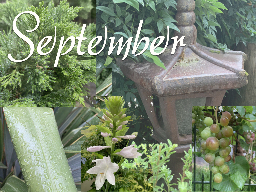 September in the Garden—A To Do List | Good News Tree Service, Inc.
