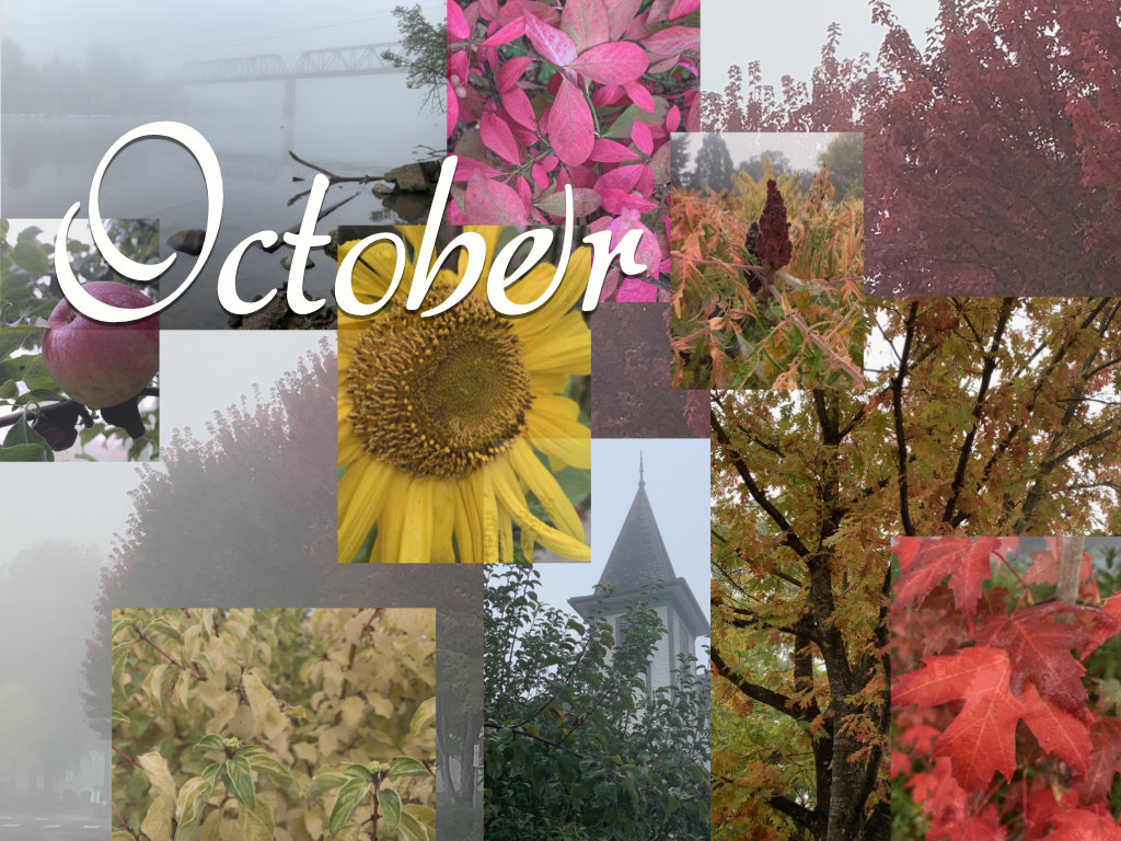 October in the Garden—A To Do List | Good News Tree Service, Inc.