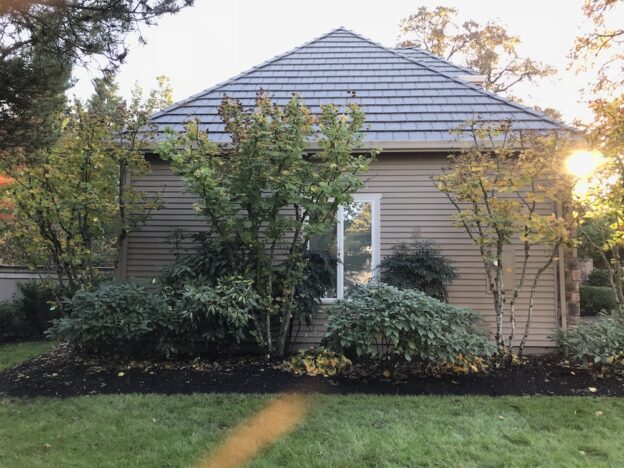 Exploring the Art of Japanese Niwaki-Style Pruning | Good News Tree ...