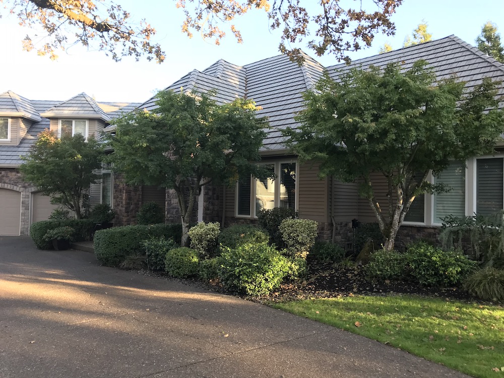 Exploring the Art of Japanese Niwaki-Style Pruning | Good News Tree ...