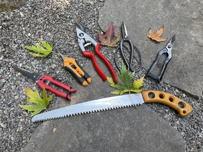 The Art of Japanese Style Aesthetic Pruning Called “Sukashi” and ...